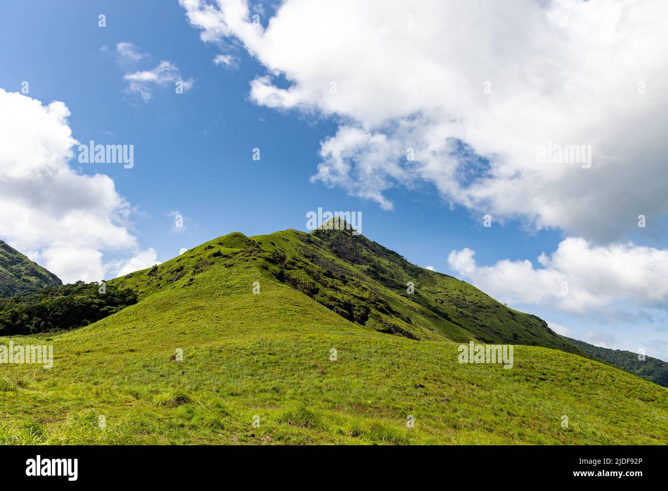 View of the Chembra Peak from top in Wayanad, Kerala Stock Photo - Alamy