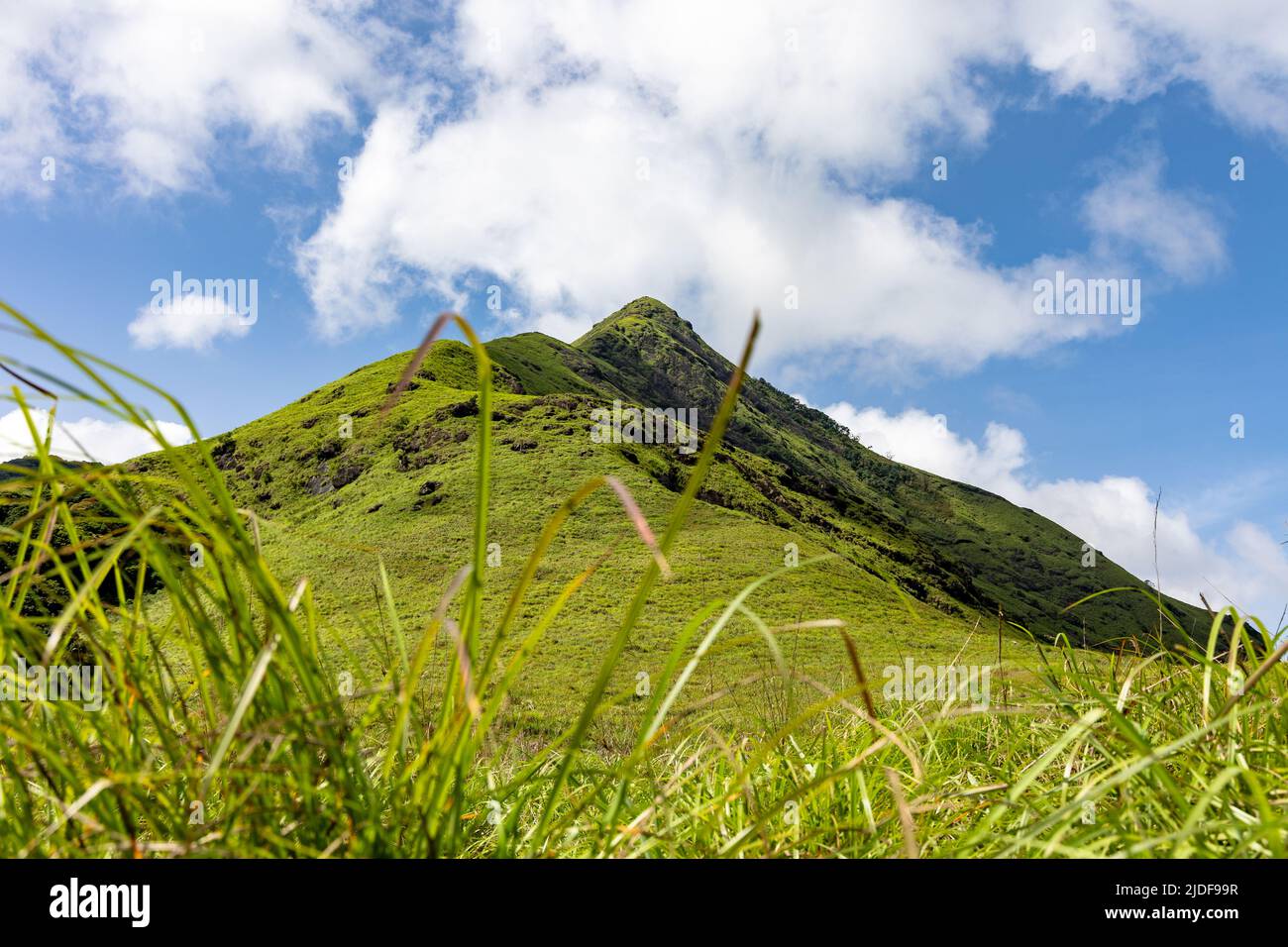 View of the Chembra Peak from top in Wayanad, Kerala Stock Photo - Alamy