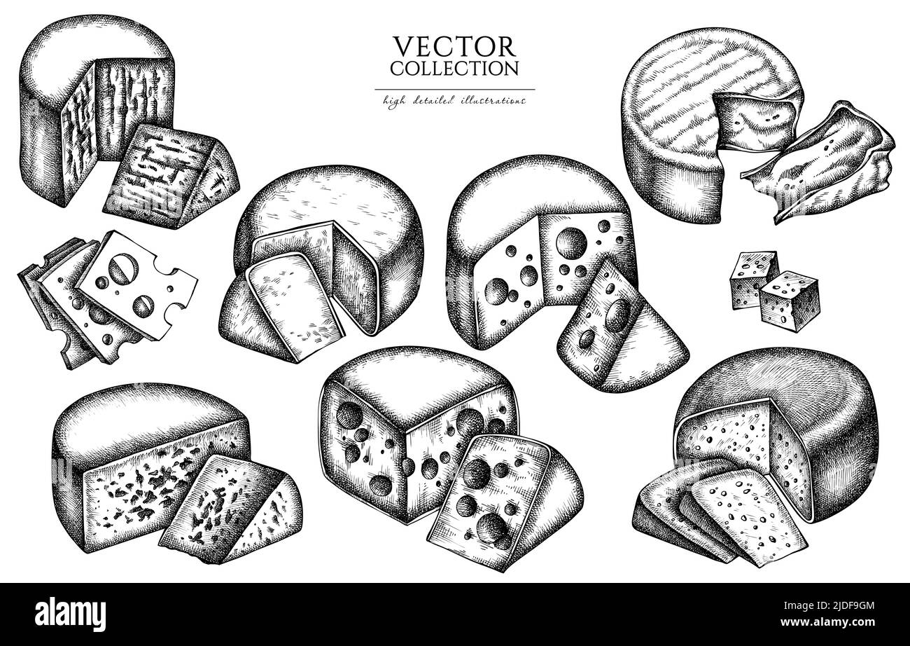 Cheese vintage illustrations collection. Hand drawn logo designs with ...
