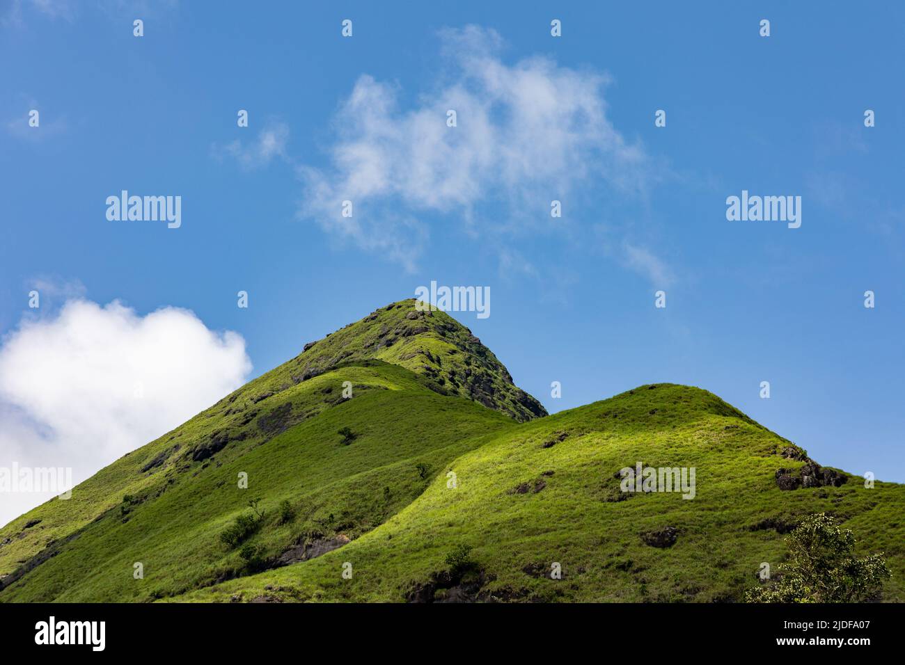 View of the Chembra Peak from top in Wayanad, Kerala Stock Photo - Alamy