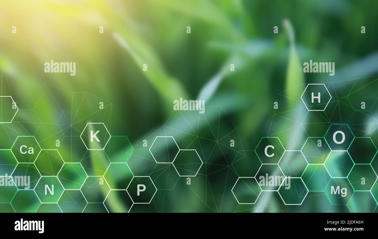 Grass on sunny background with digital mineral nutrients icon ...