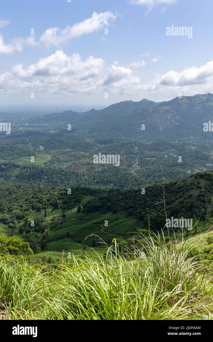 View of the surrounding landscape from the top of Chembra Peak in ...