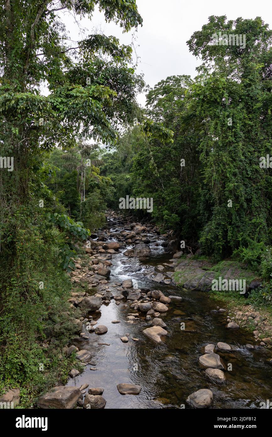 View of Chulika River during summer season in Vaithiry, Wayanad, Kerala ...