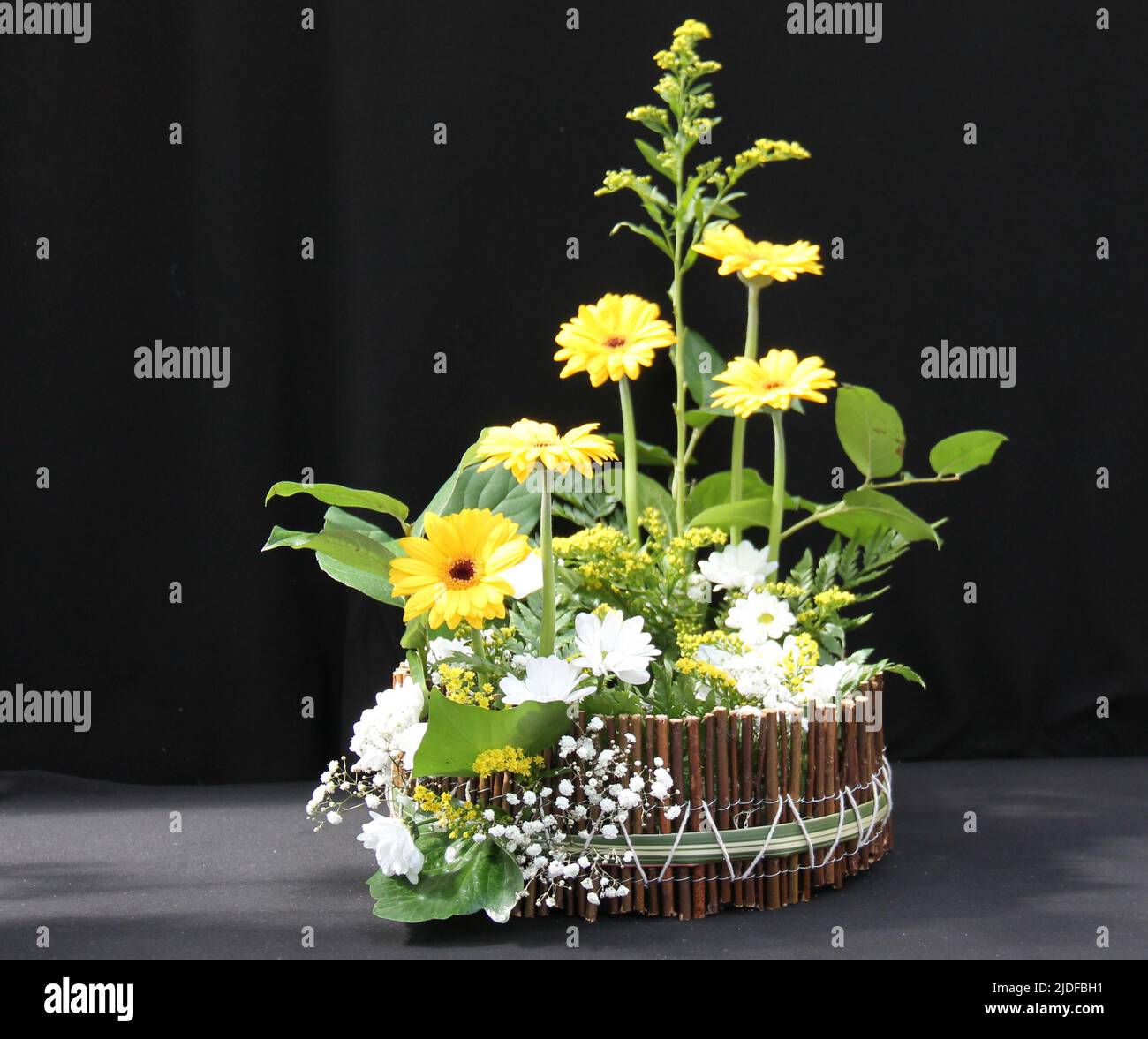 Formal flower hi-res stock photography and images - Alamy