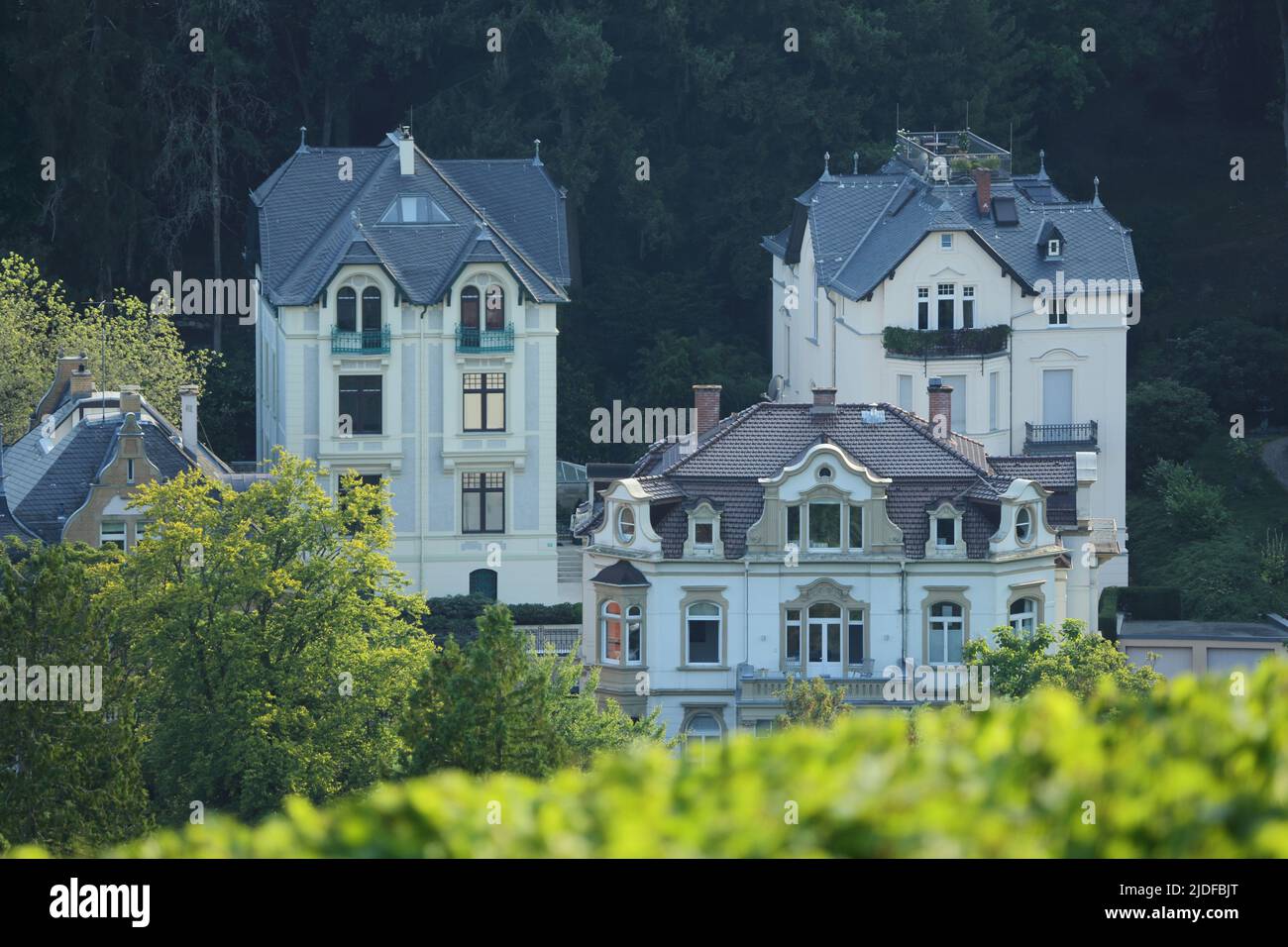 View from the Löwenterrasse Neroberg on three villas in the Nerotal in ...