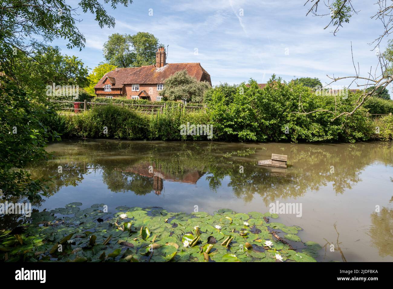 Village pond in Plaistow, a village in West Sussex, England, uk Stock ...