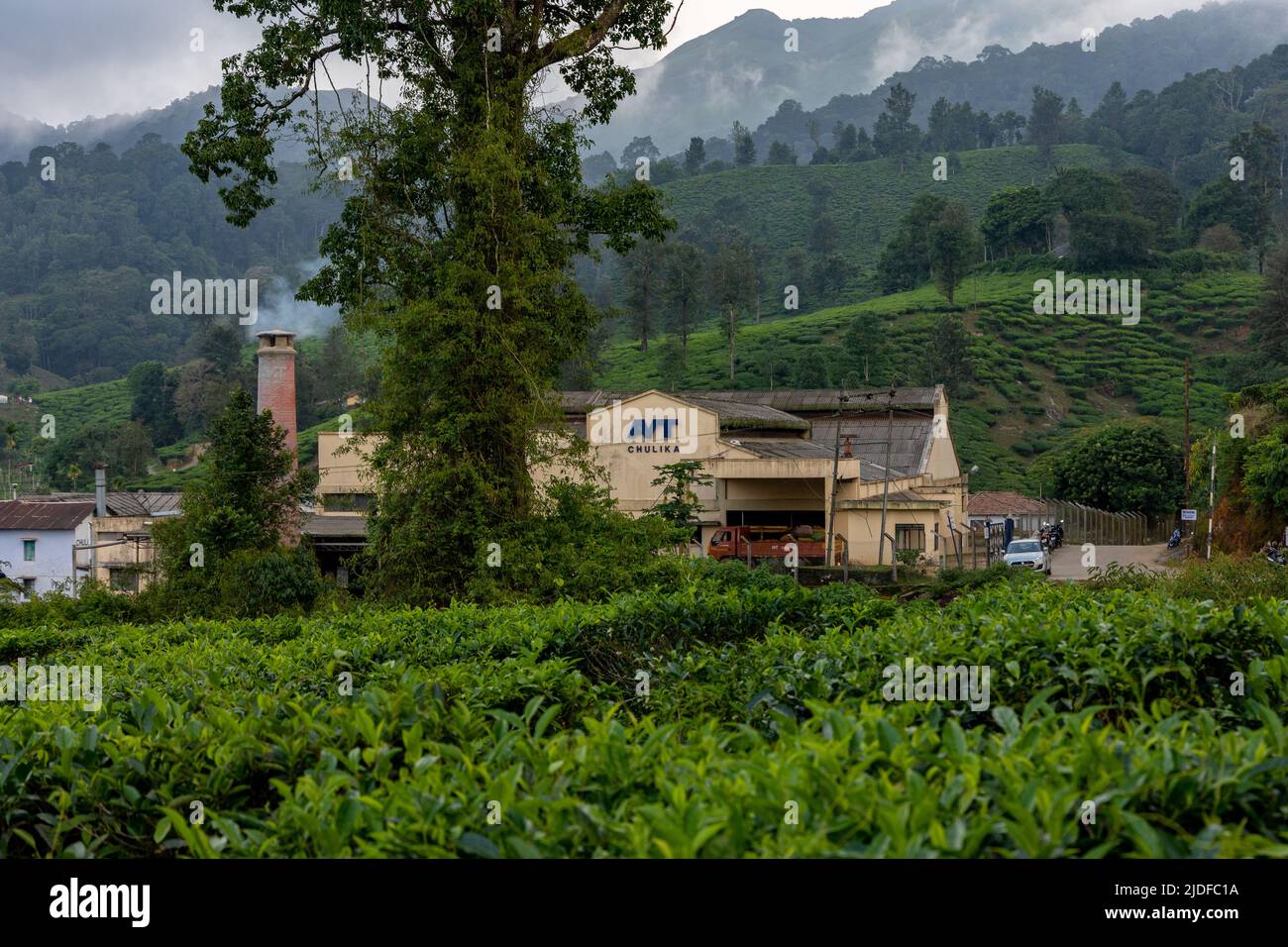 View of AVT Estate tea factory nestled in a beautiful landscape ...
