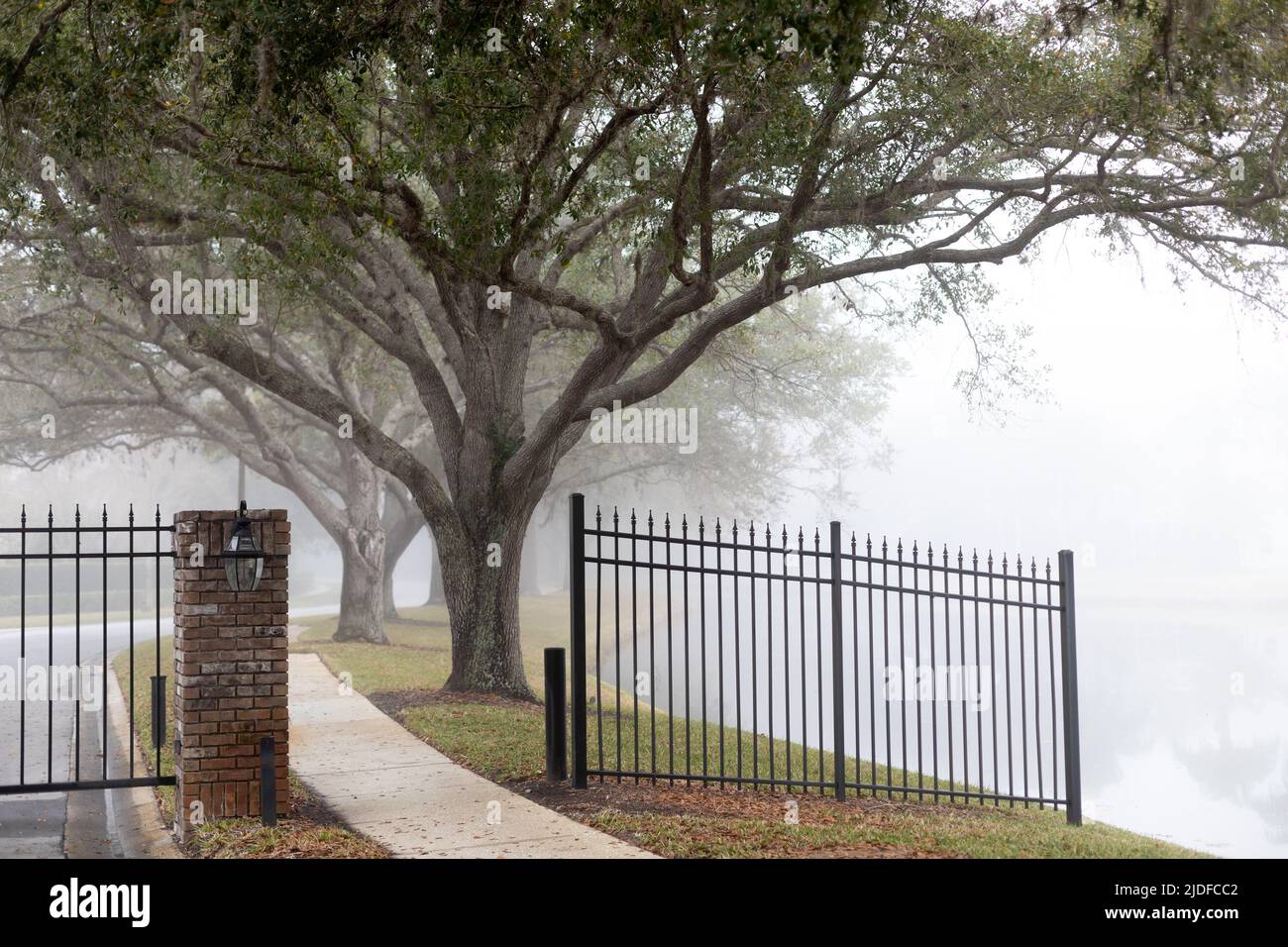 Winter in Florida Stock Photo - Alamy