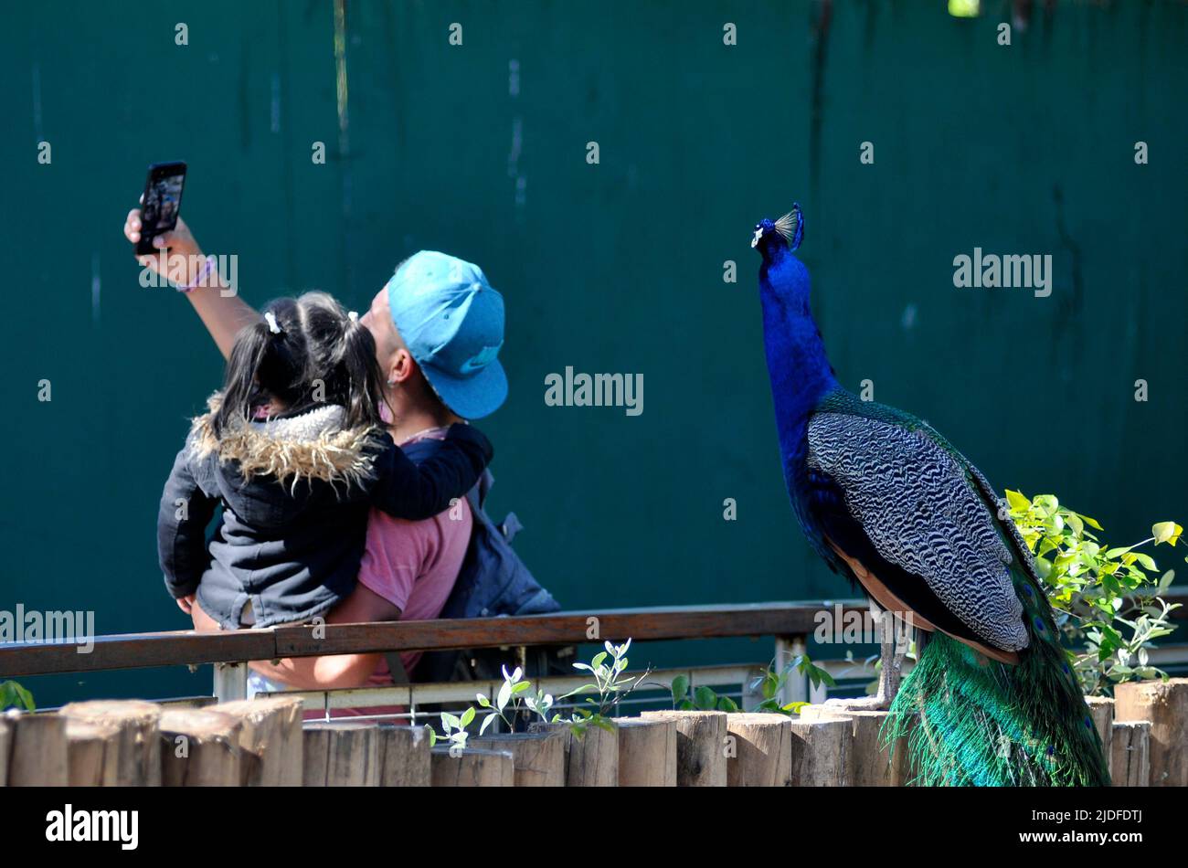 Ecoparque buenos aires hi-res stock photography and images - Alamy