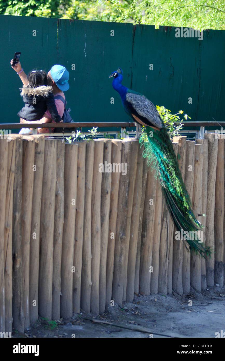 Ecoparque buenos aires hi-res stock photography and images - Alamy