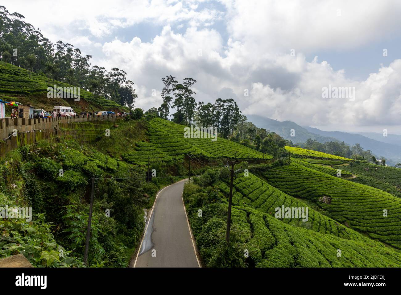 Tourist vehicles parked on the roadside at Munnar Bypass Tea Garden ...