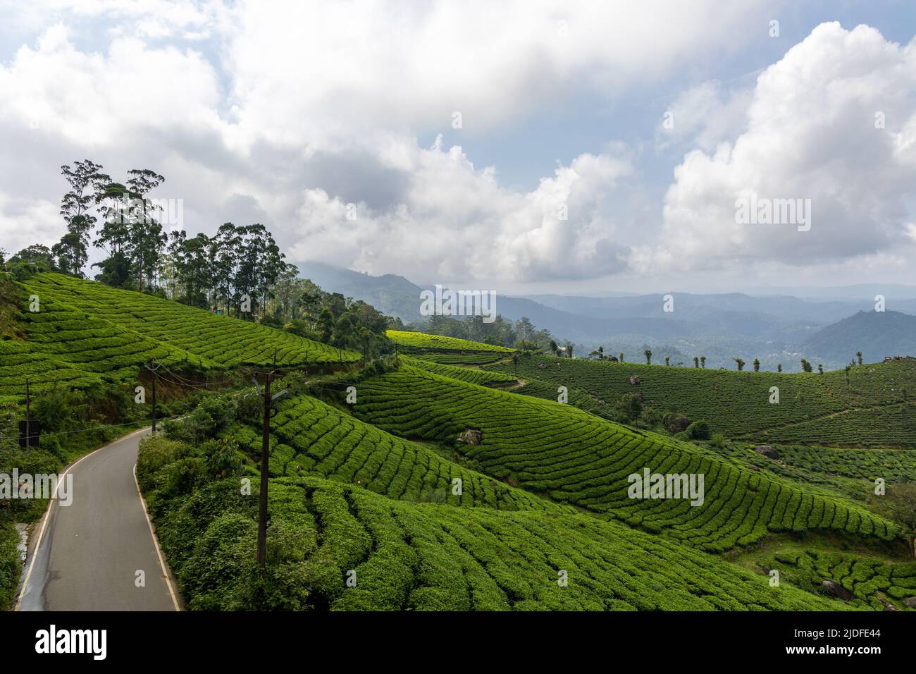 Beautiful view from Munnar Bypass Tea Garden Viewpoint, Munnar, Kerala ...