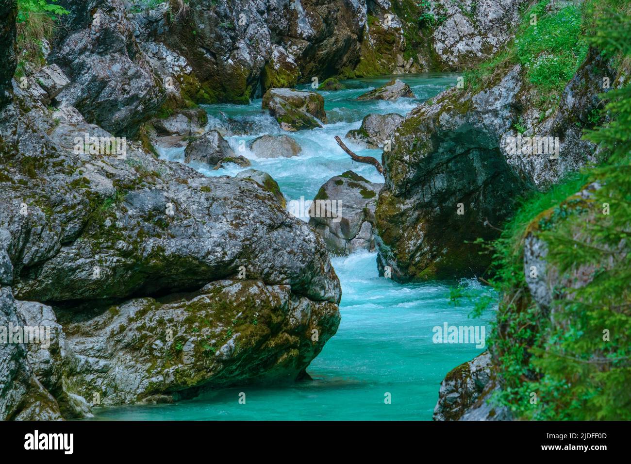 Tolmin gorge in Triglav National Park, Slovenia Stock Photo - Alamy