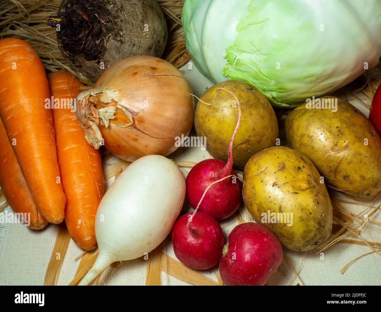 Still life of vegetables. Healthy food. Harvest from the garden. Farmer ...
