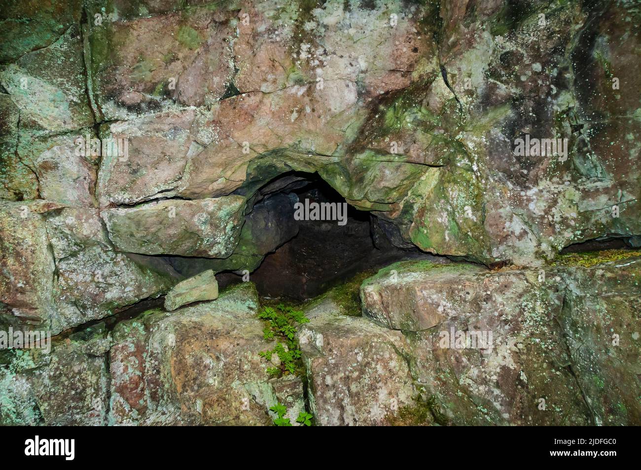 Natural cave entrance, a phreatic tube, seen in the Owl Hole shakehole ...