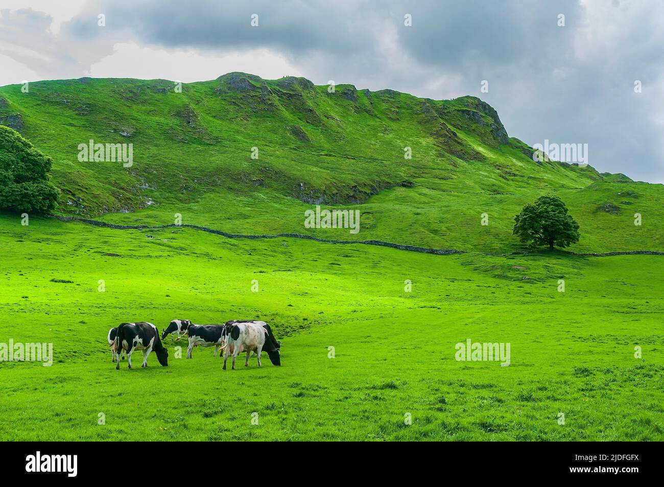The sharp-edged reef-knoll limestone ridge of Chrome Hill in bright ...