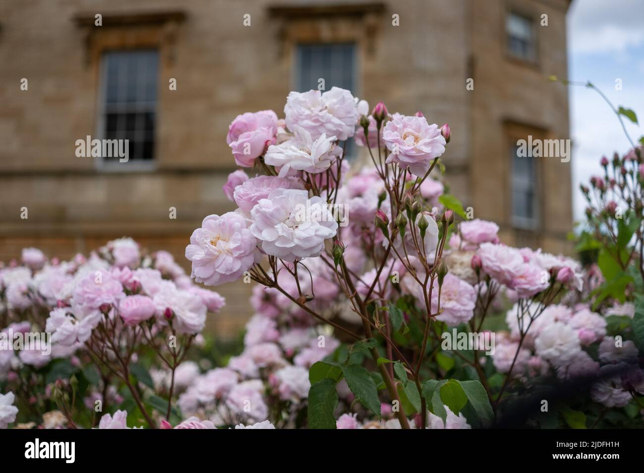 Lord and lady iliffe hi-res stock photography and images - Alamy