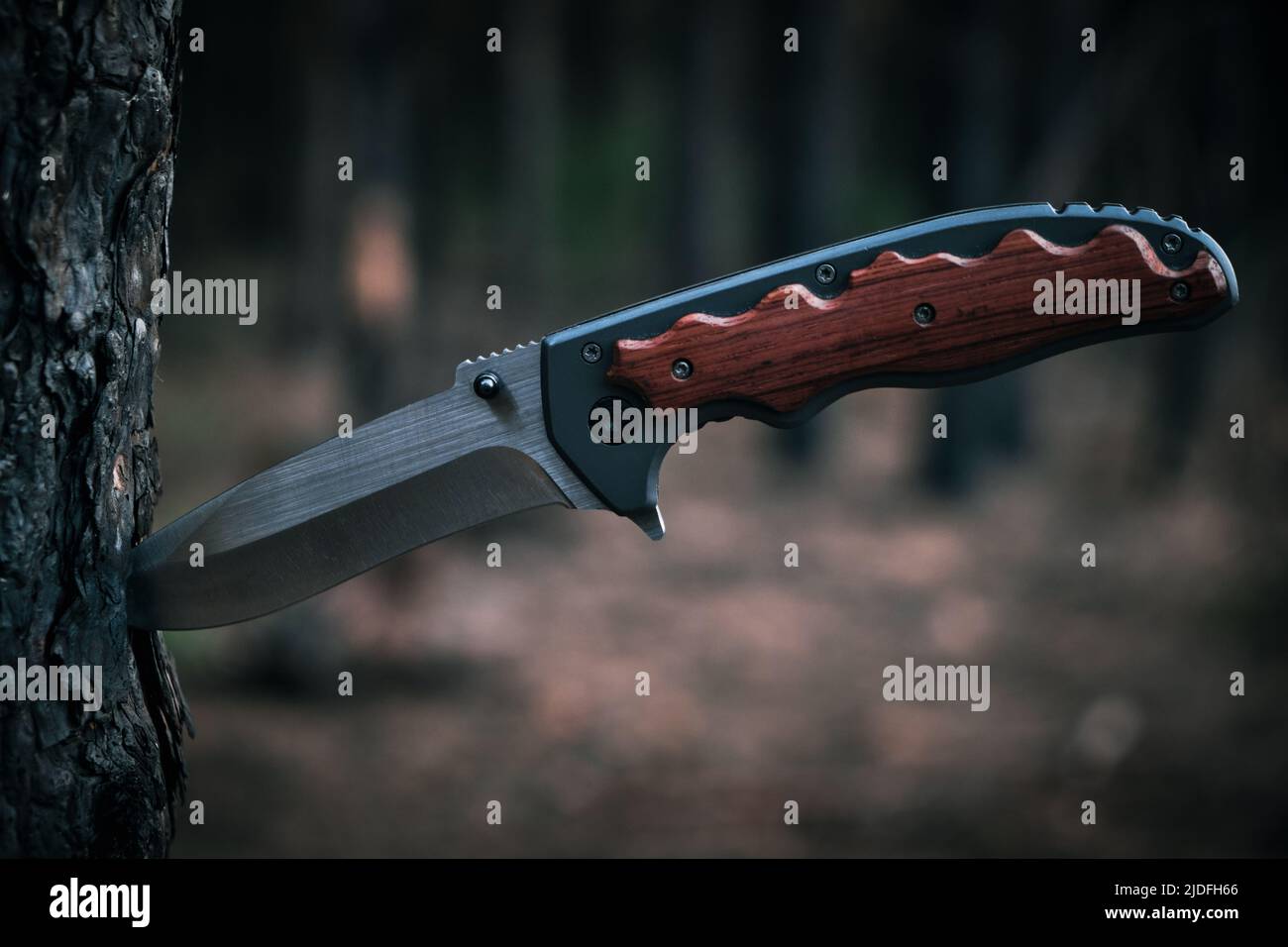 Tactical knife for survival and protection difficult conditions stuck ...