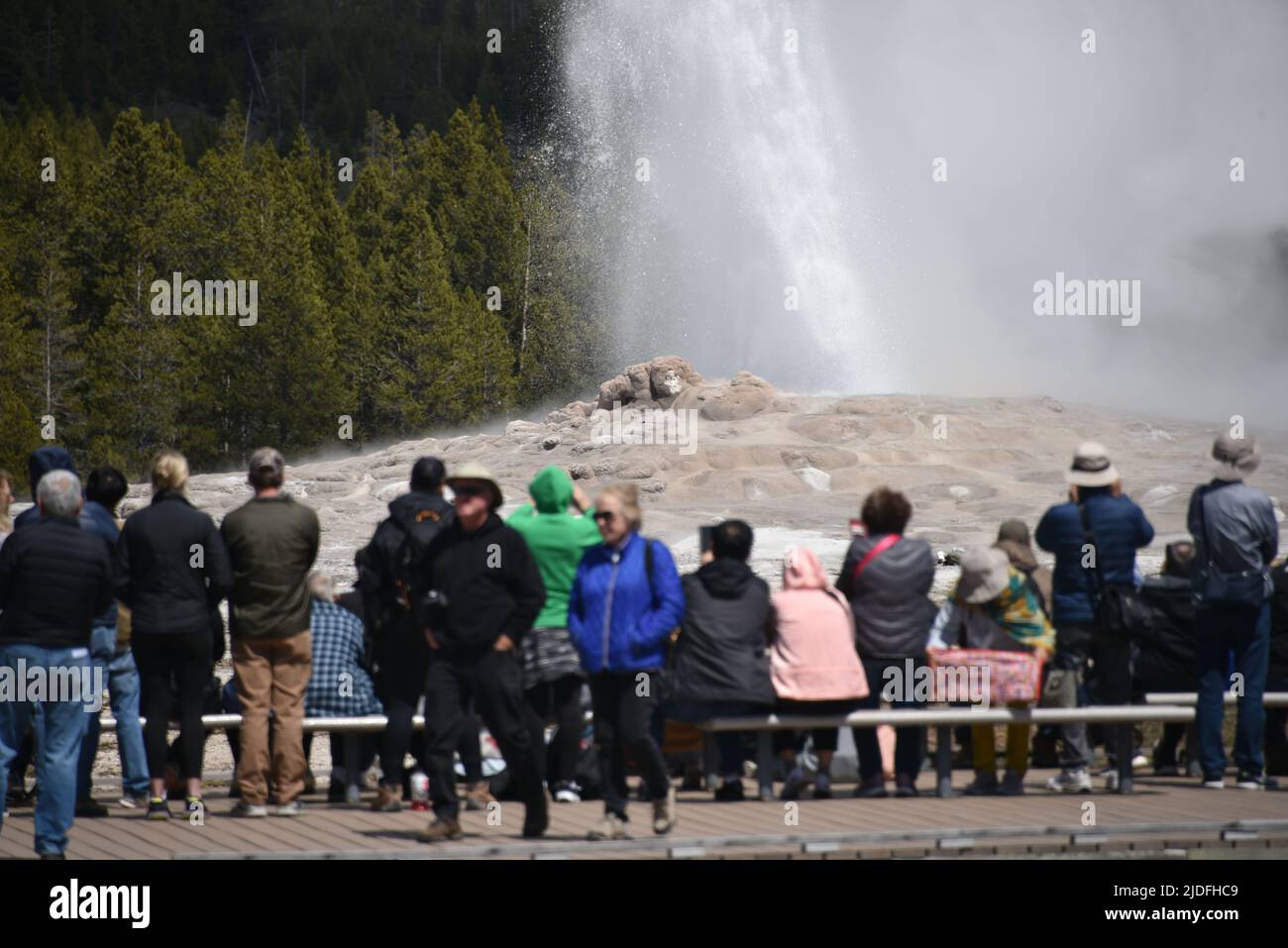 Yellowstone National Park. USA. 5/21-26/2022. Old Faithful Geyser ...