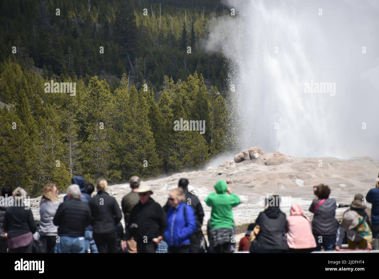 Yellowstone National Park. USA. 5/21-26/2022. Old Faithful Geyser ...