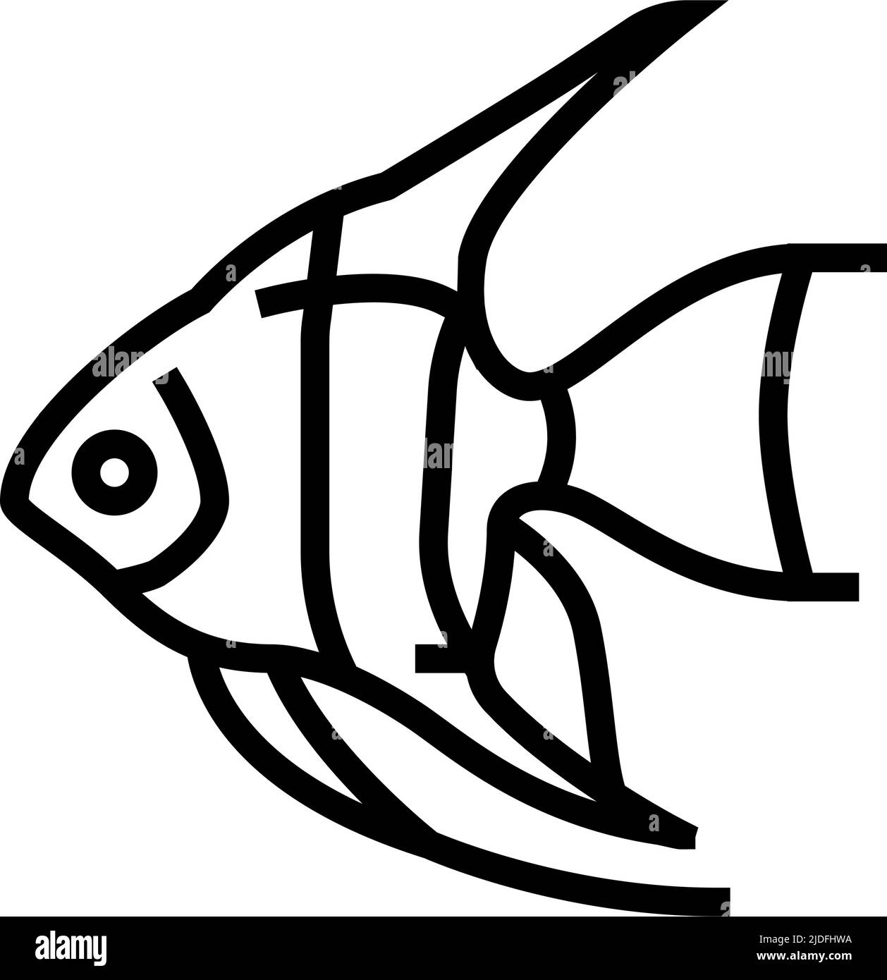 Black molly fish Black and White Stock Photos & Images - Alamy