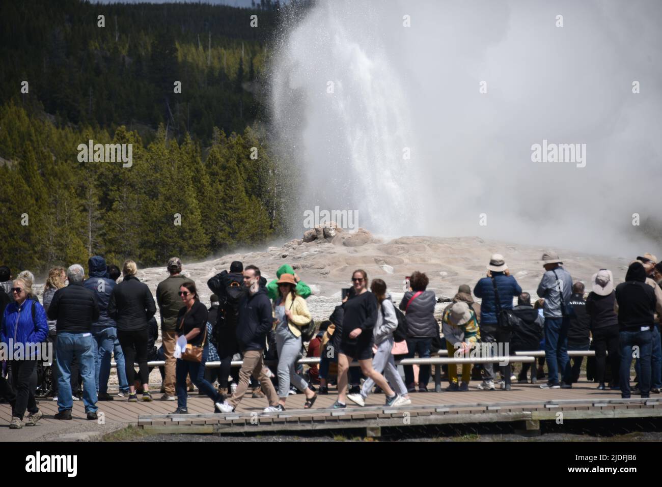 Yellowstone National Park. USA. 5/21-26/2022. Old Faithful Geyser ...
