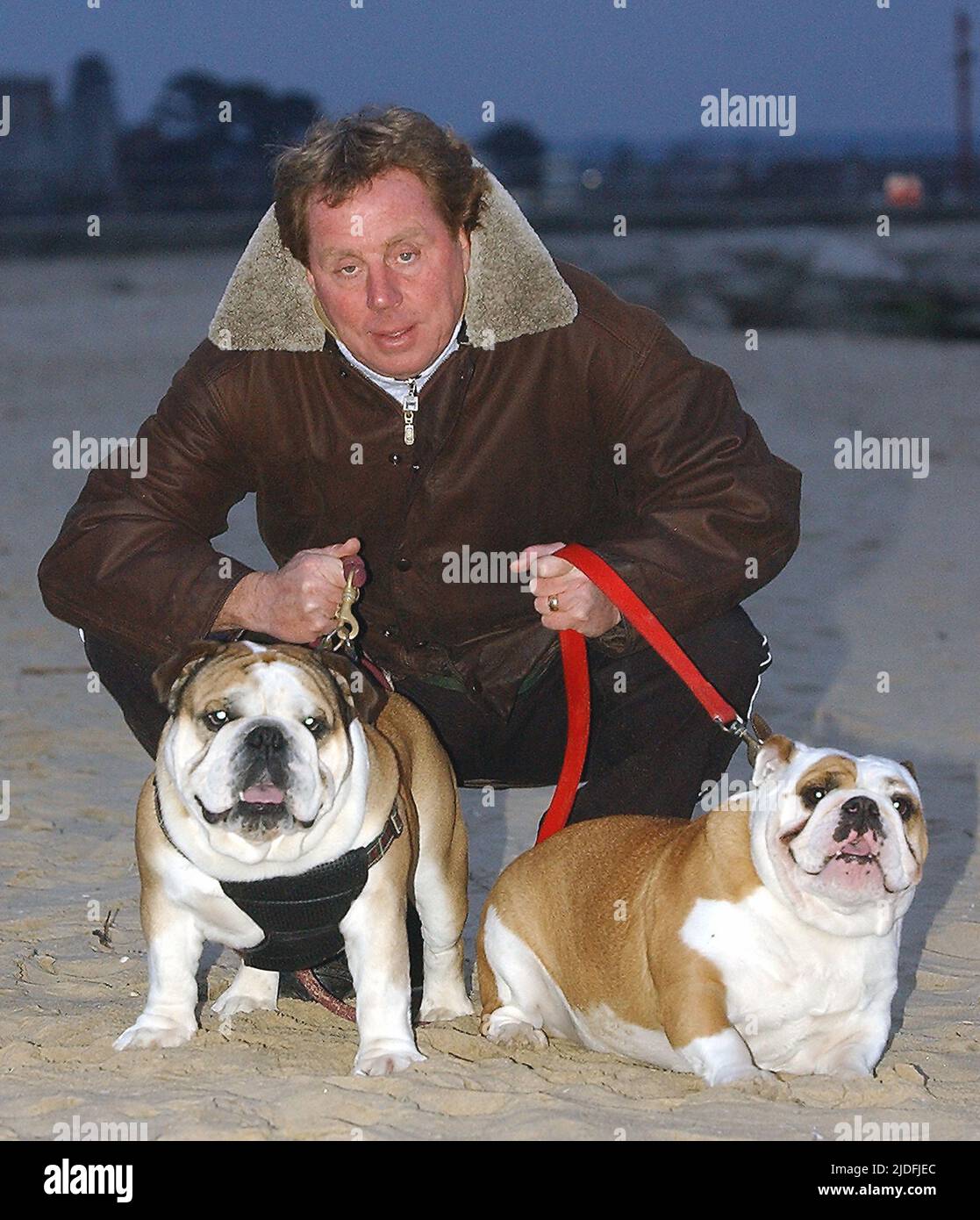 SOUTHAMPTON MANAGER HARRY REDKNAPP WITH HIS BULLDOGS ROSIE AND BUSTER ...