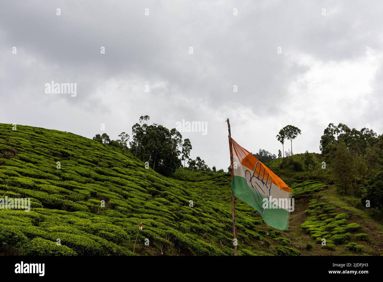 Indian National Congress (INC) flag flying high over tea gardens in ...