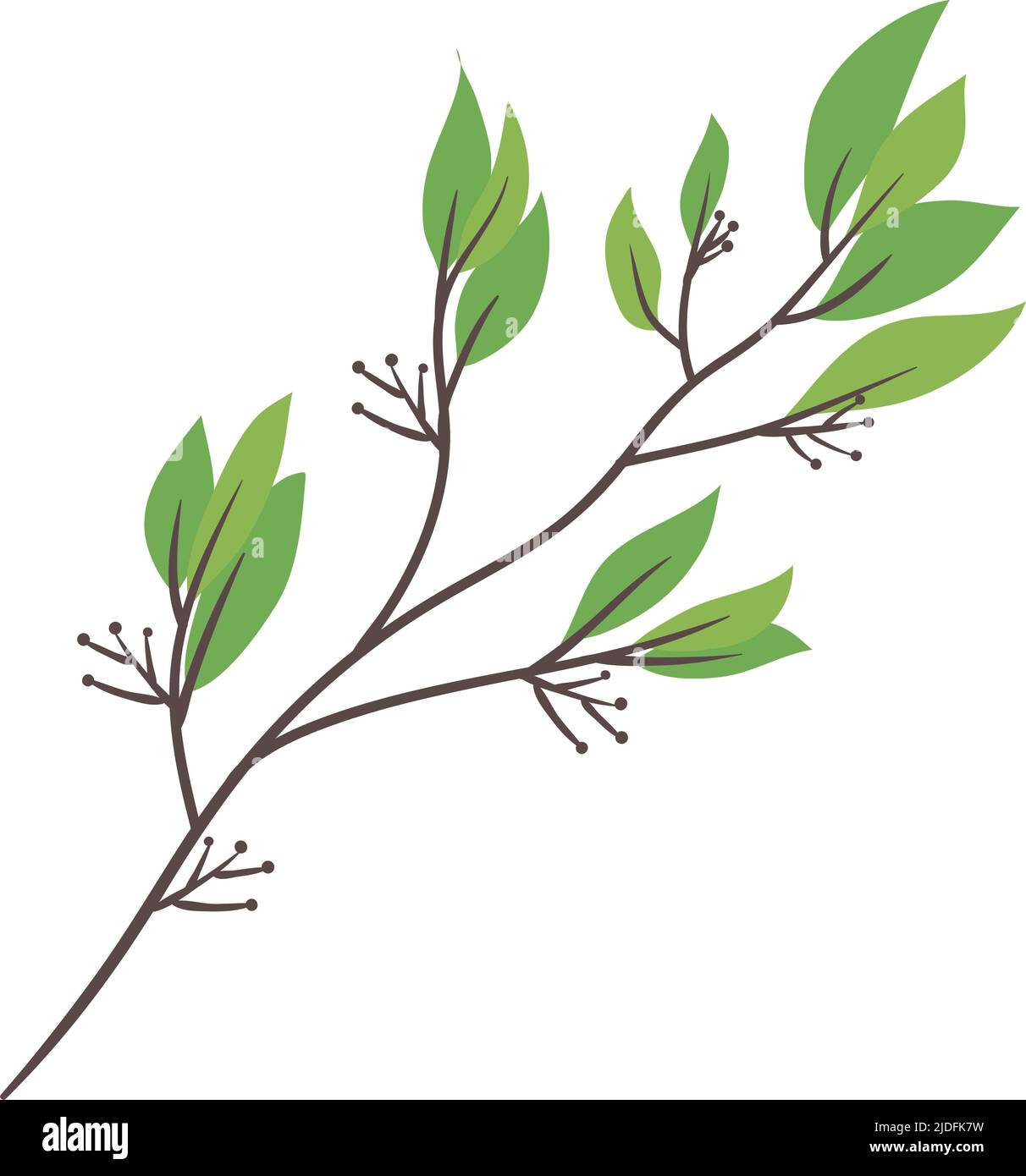 branch with leafs plant Stock Vector Image & Art - Alamy