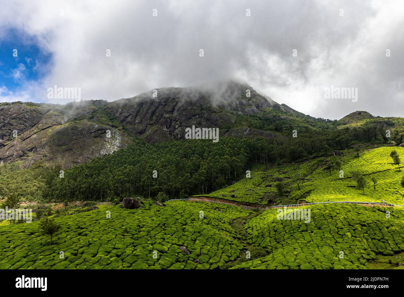 Beautiful view of mountains and tea gardens as seen on roadside of ...