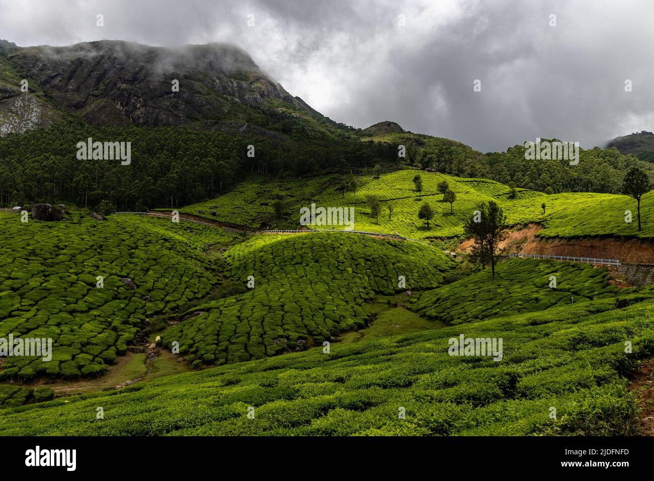 Munnar kumily highway hi-res stock photography and images - Alamy