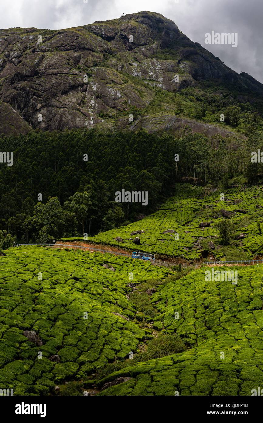 View of a bus on the Munnar - Kumily Highway beneath mountains and over ...