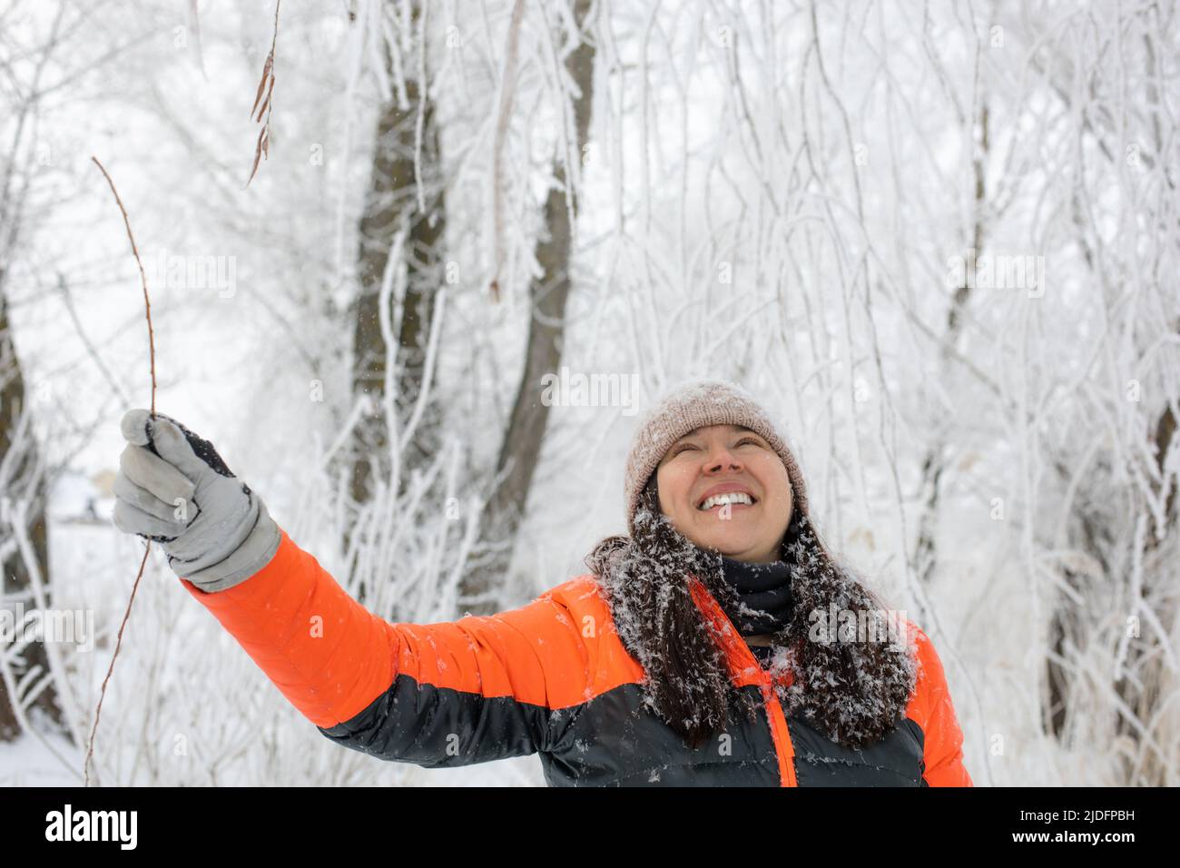 Middle aged woman holding tree twig in hand looking up and smiling with ...