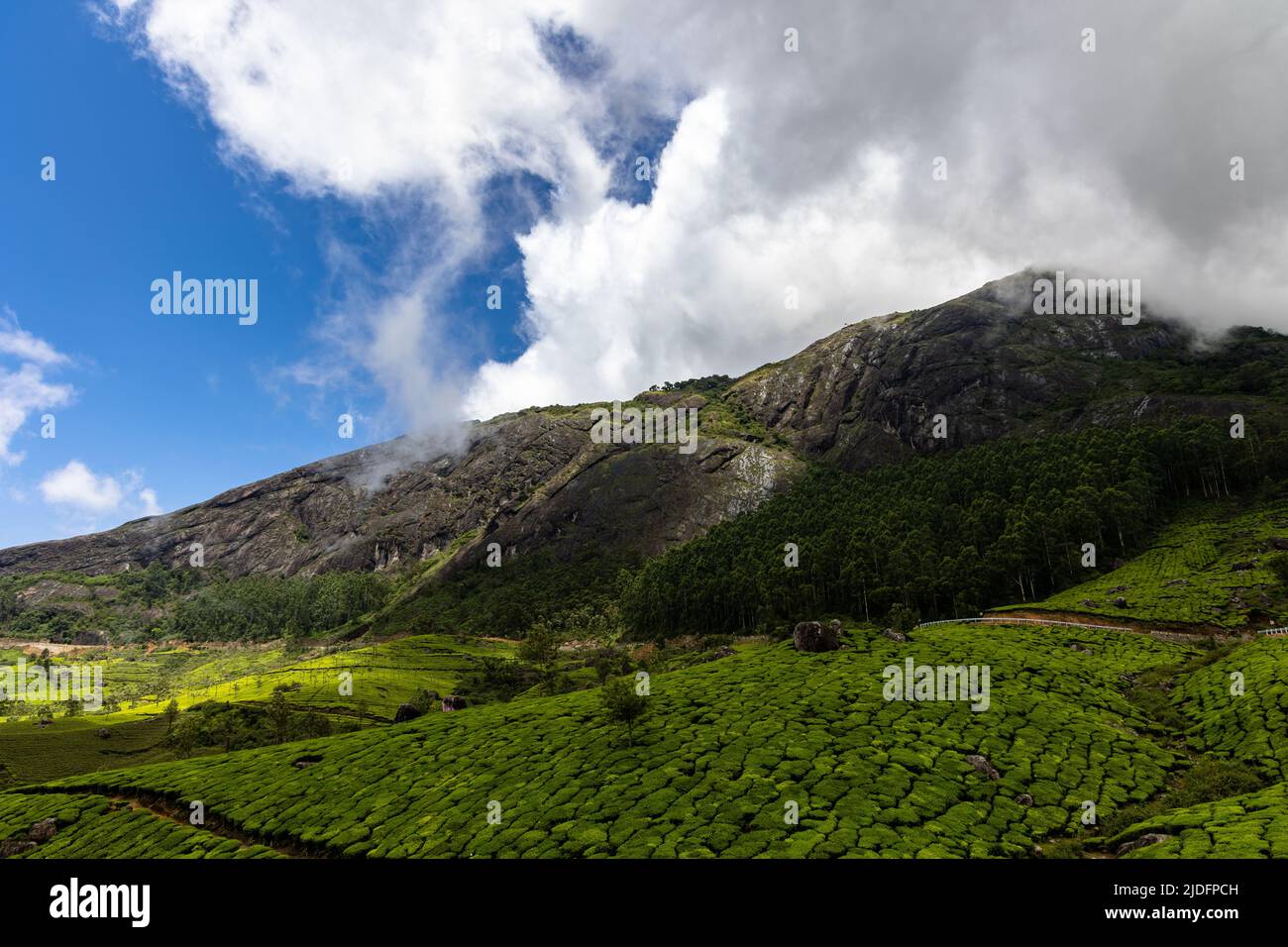 Munnar kumily highway hi-res stock photography and images - Alamy