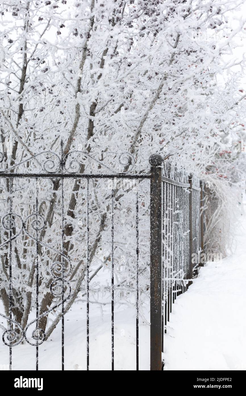 Trees behind fence hi-res stock photography and images - Alamy