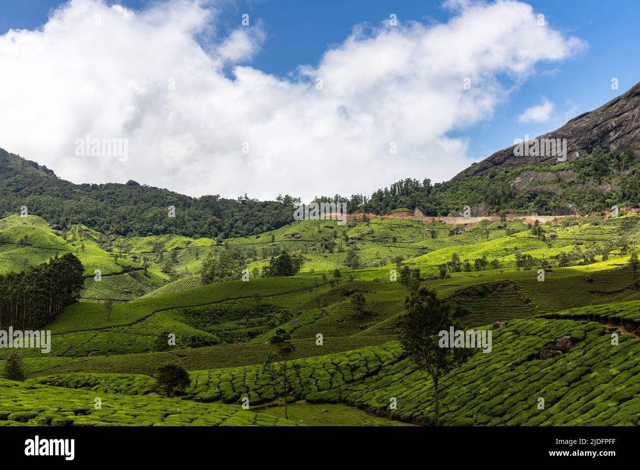 Beautiful view of mountains and tea gardens as seen on roadside of ...