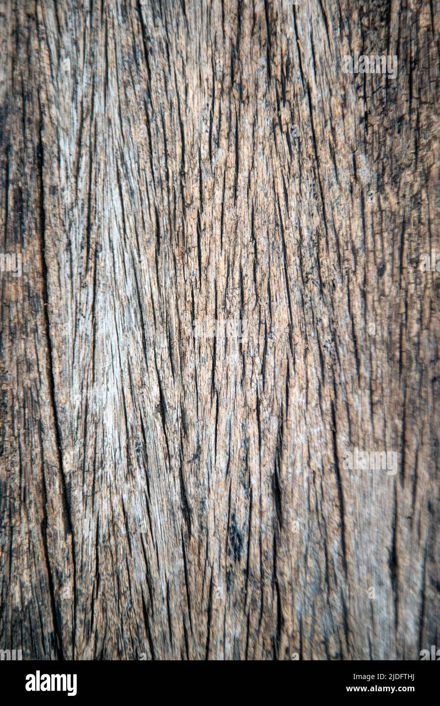A texture and background of old wooden planks with clear vertical lines ...