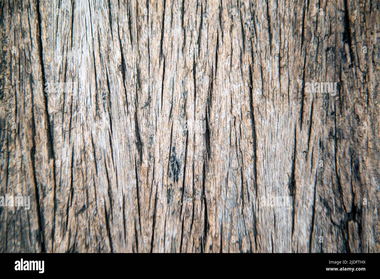 A texture and background of old wooden planks with clear vertical lines ...