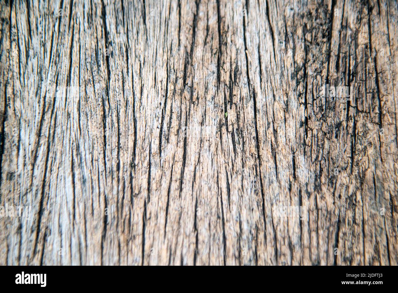 A texture and background of old wooden planks with clear vertical lines ...