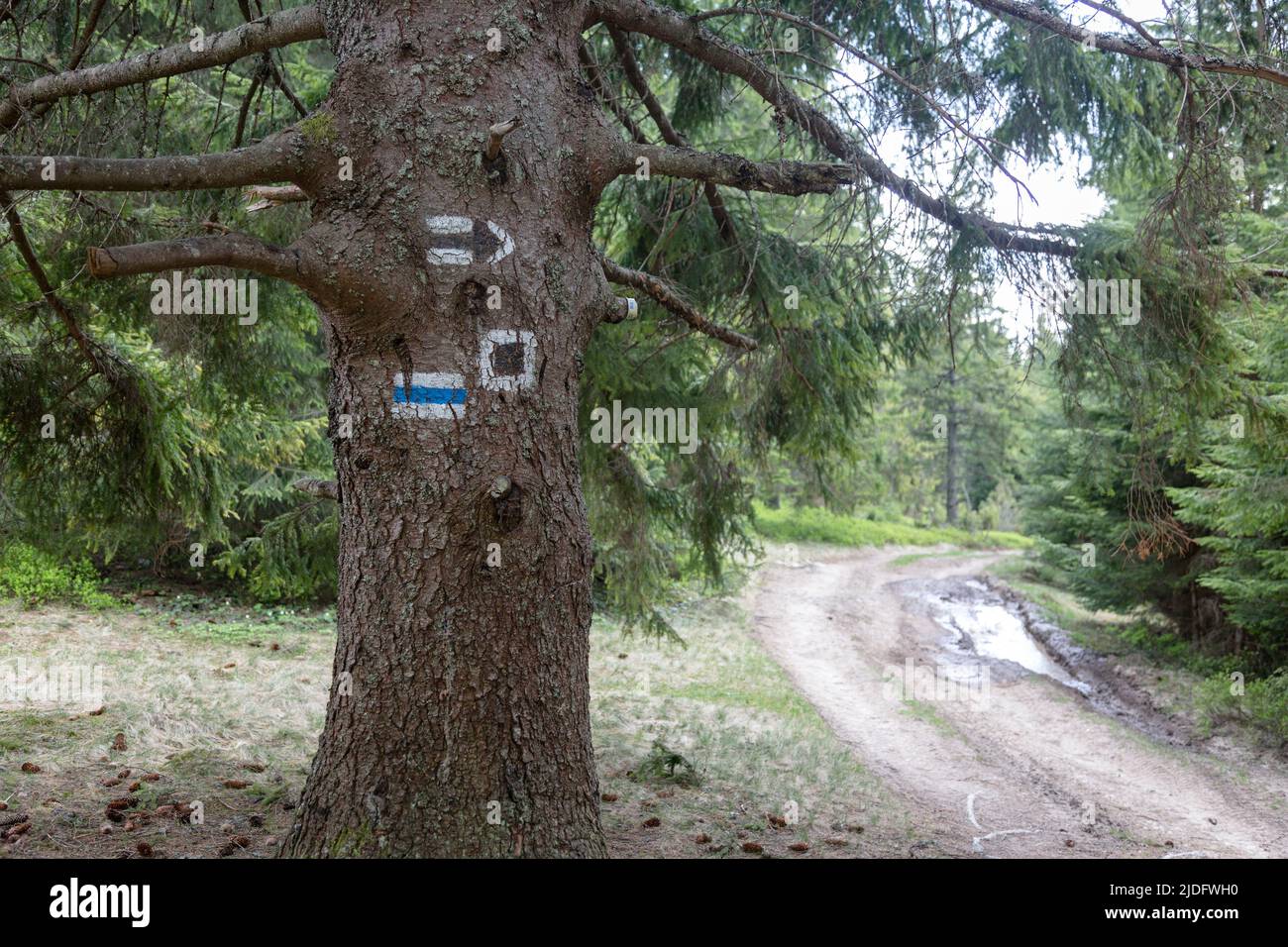 Guiding mark hi-res stock photography and images - Alamy