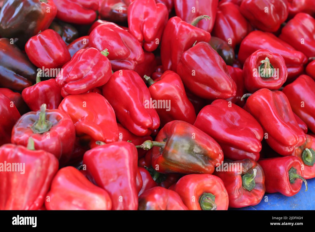 Juicy ripe red sweet peppers on market Stock Photo - Alamy