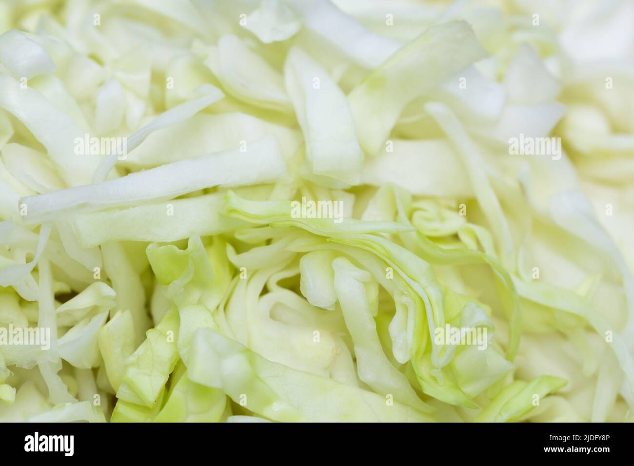 Chopped fresh cabbage cooking hi-res stock photography and images - Alamy