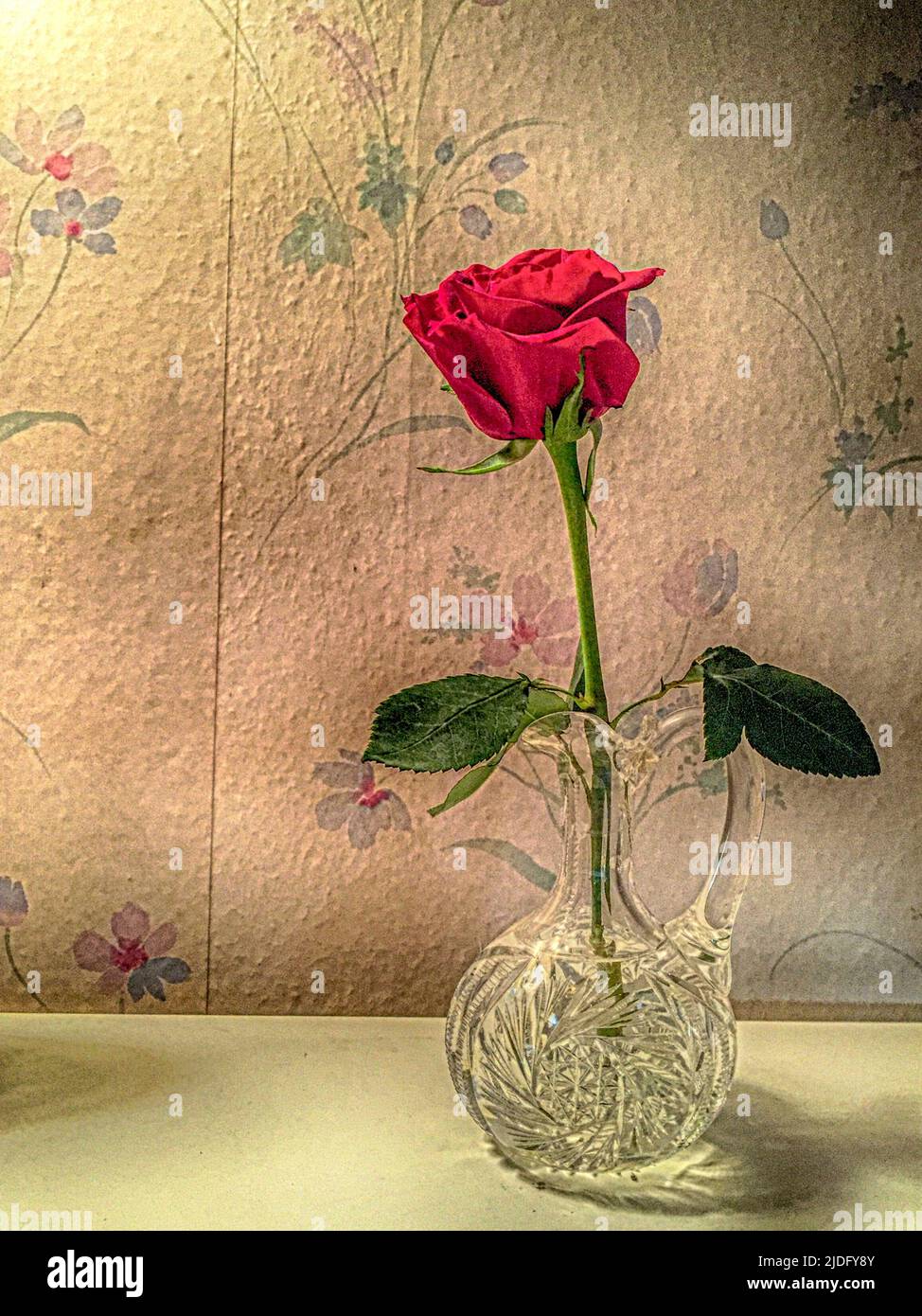 A red rose in HDR format inside of a vintage, crystal vase, mid century ...