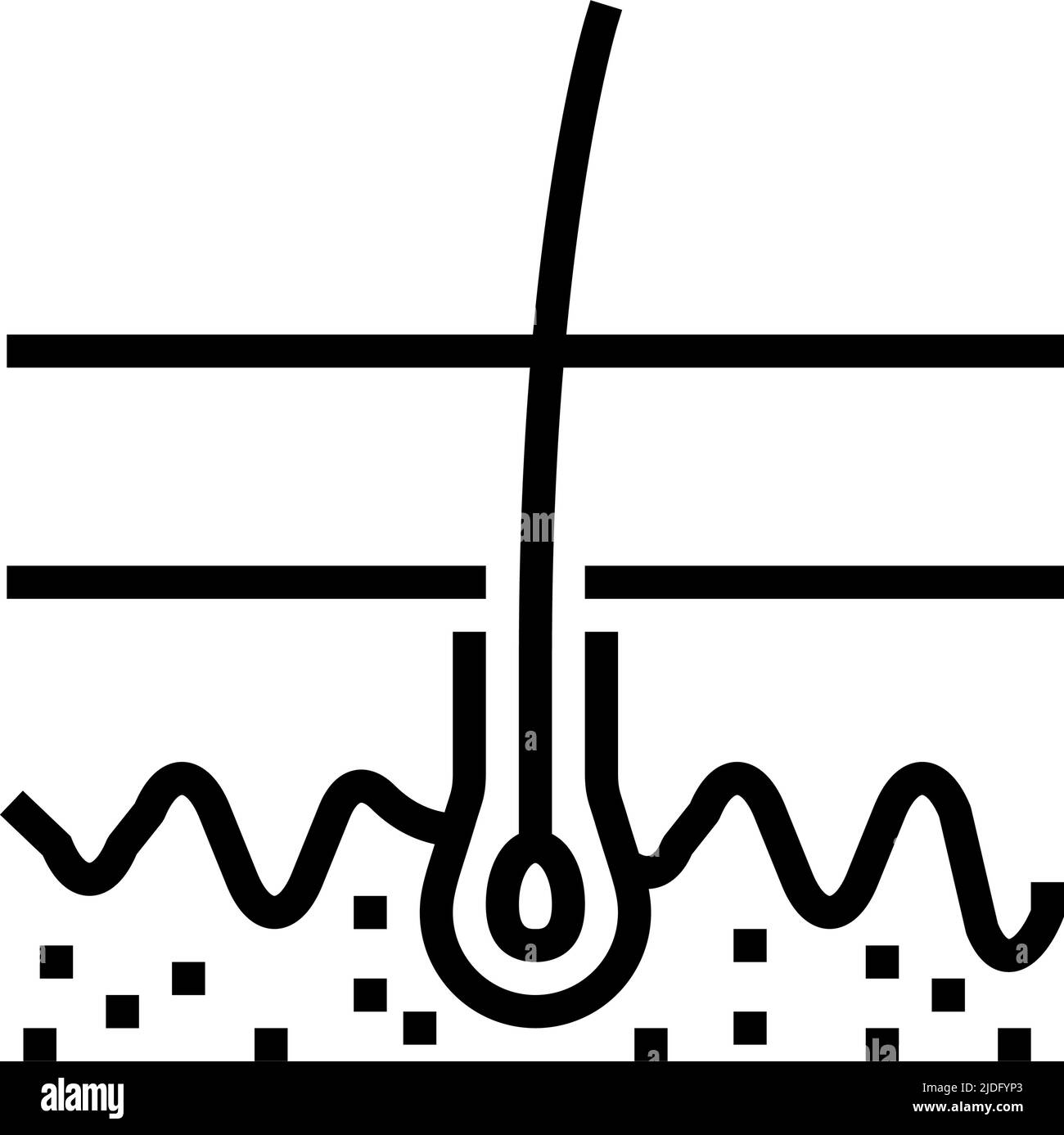 healthy growing hair line icon vector illustration Stock Vector Image ...