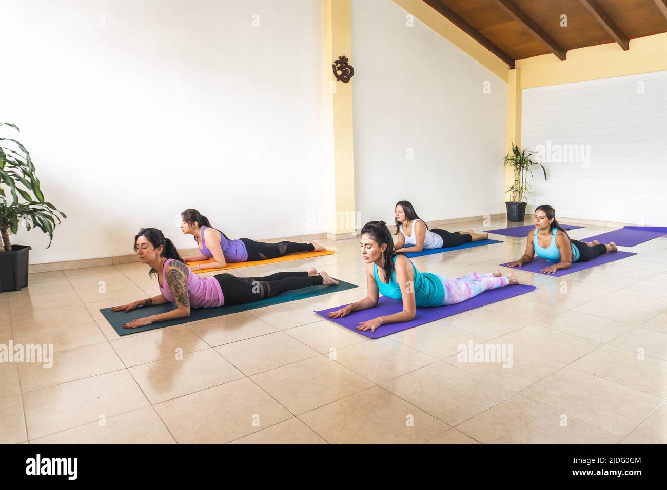 Women in yoga class in half cobra pose or Ardha Bhujangasana Stock ...