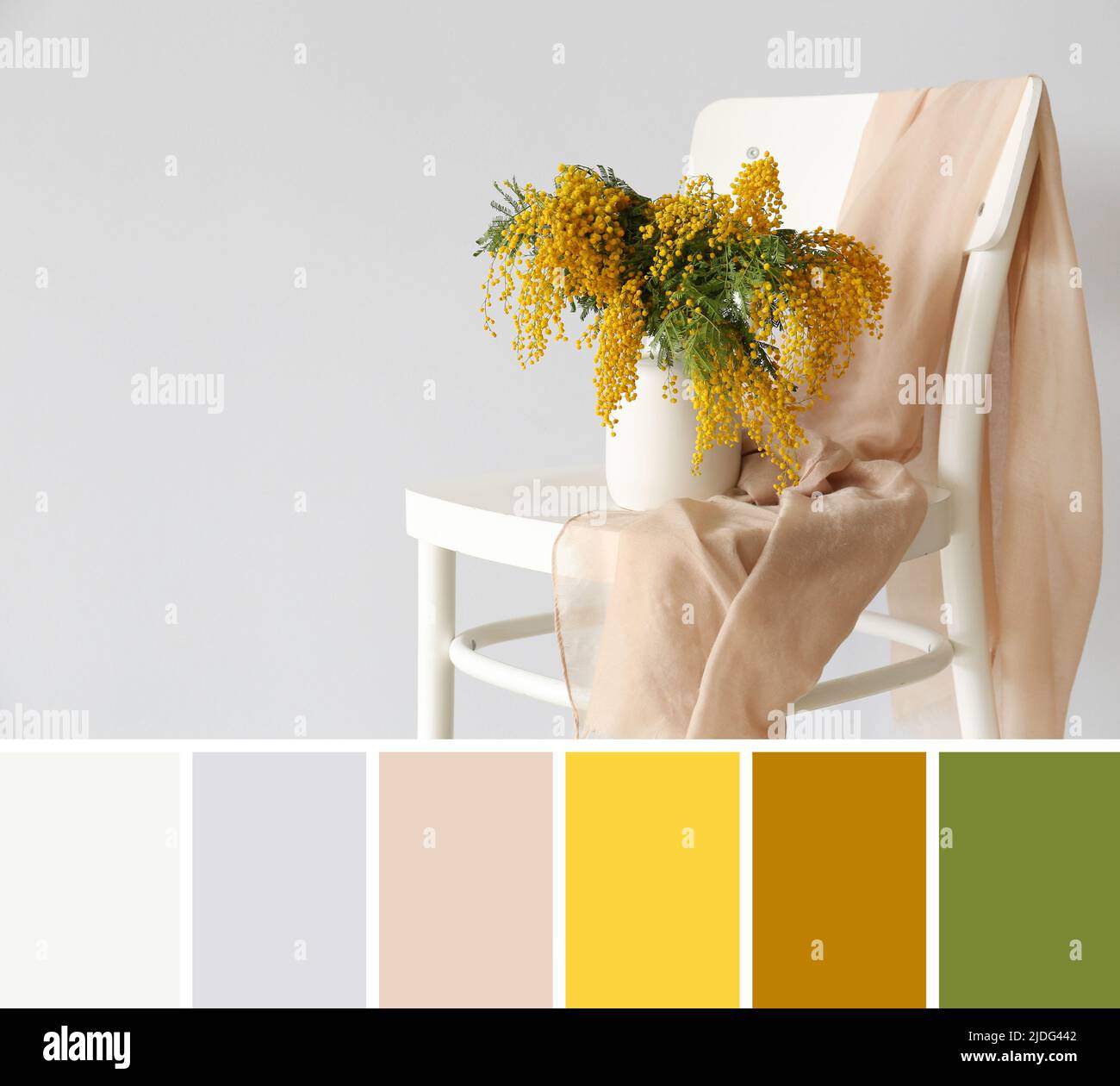 Vase with bouquet of mimosa flowers on chair against light background ...