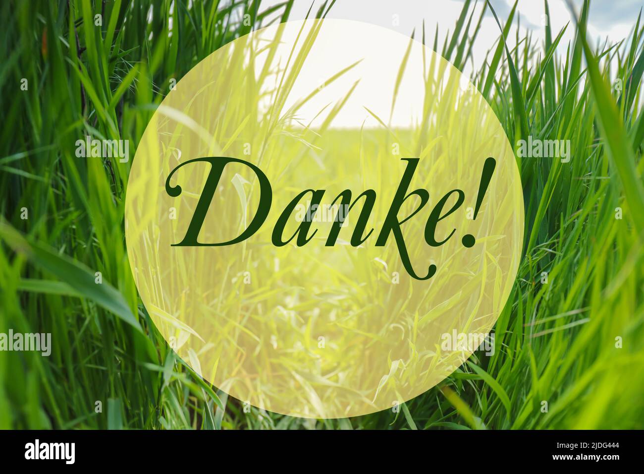 Poster with green grass and word DANKE (German for Thanks Stock Photo ...