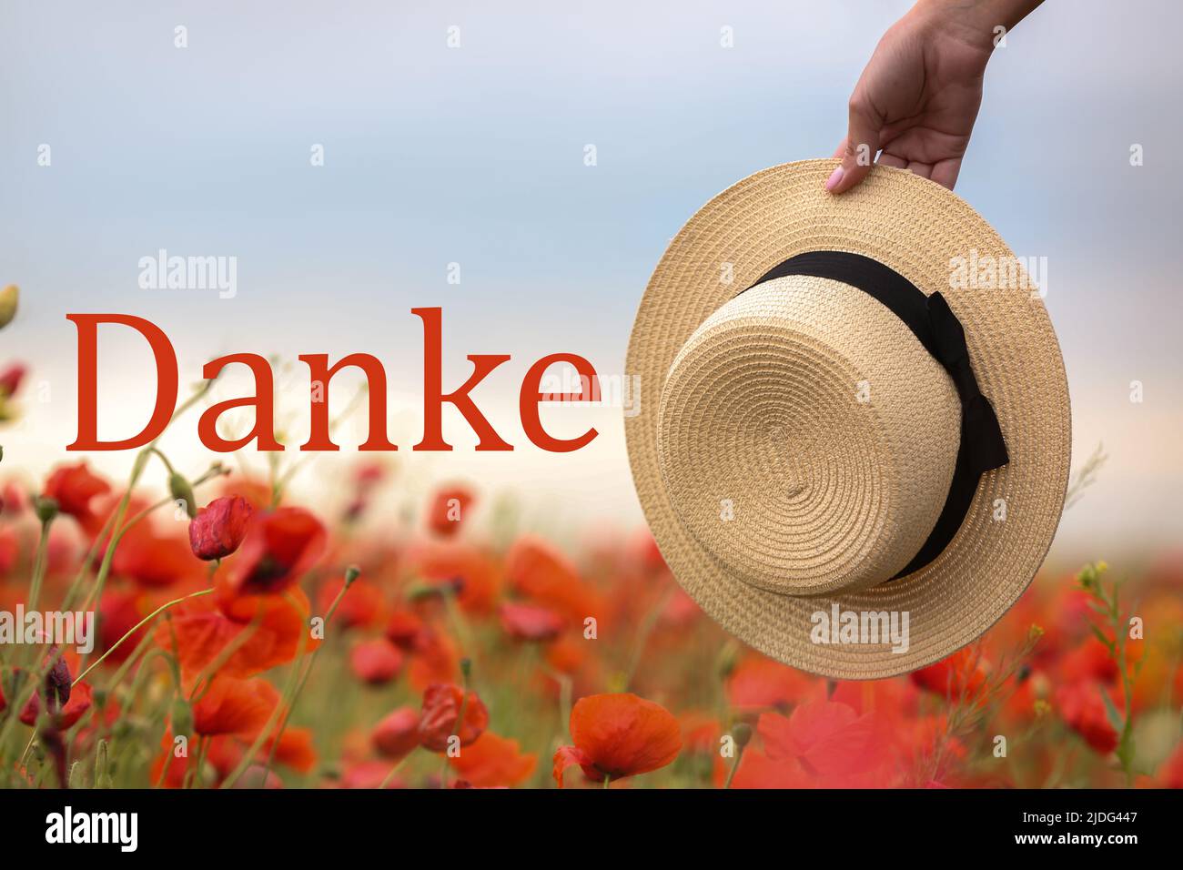 Poster with hand holding hat in poppy field and word DANKE (German for ...