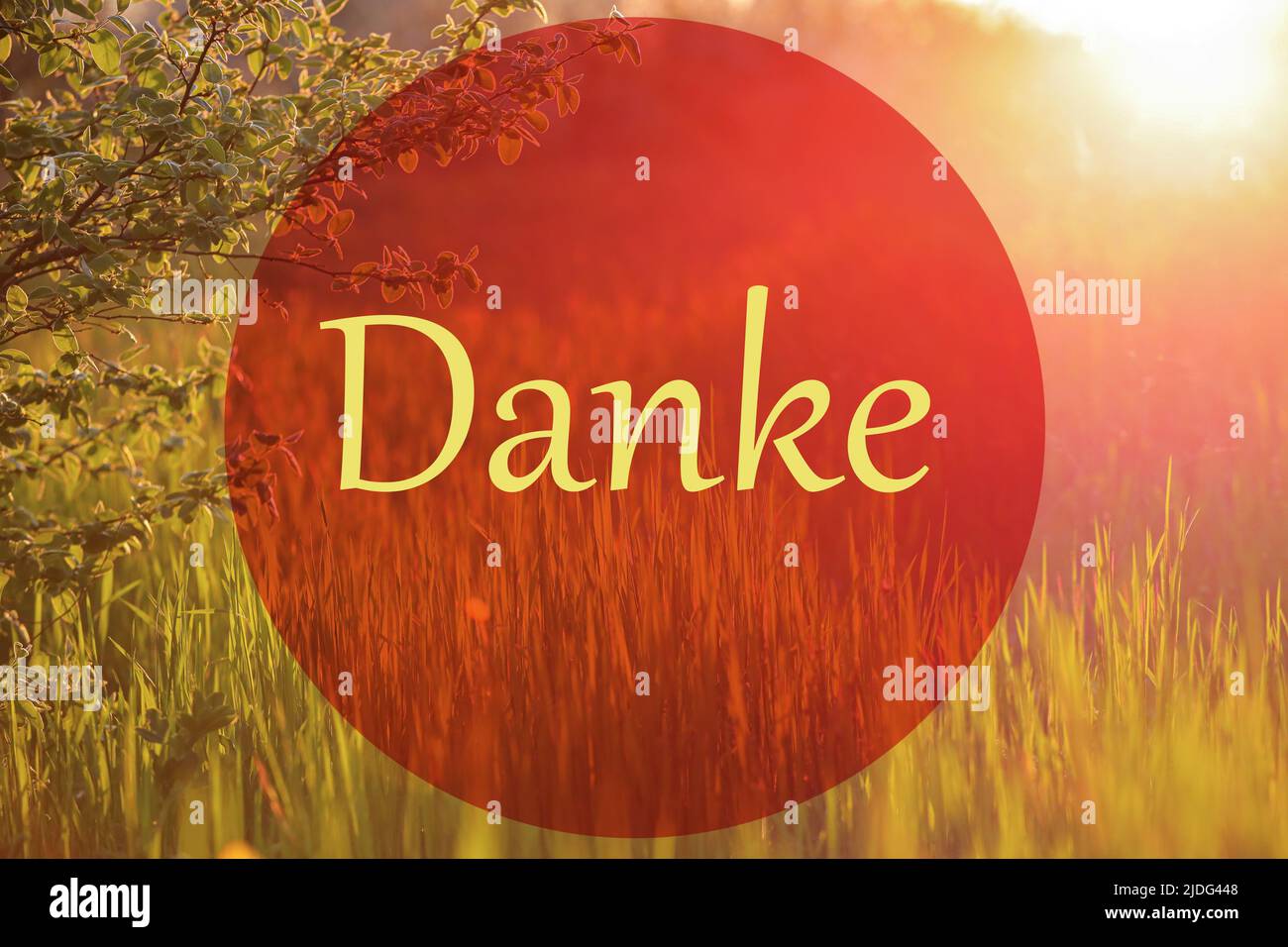 Poster with beautiful garden and word DANKE (German for Thanks Stock ...