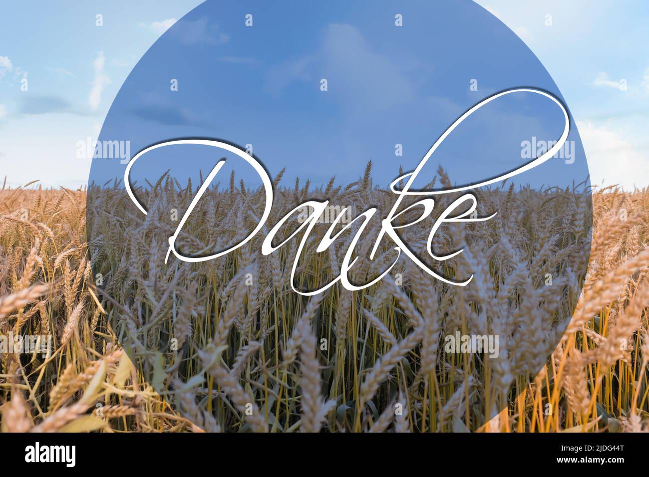 Poster with wheat field and word DANKE (German for Thanks Stock Photo ...